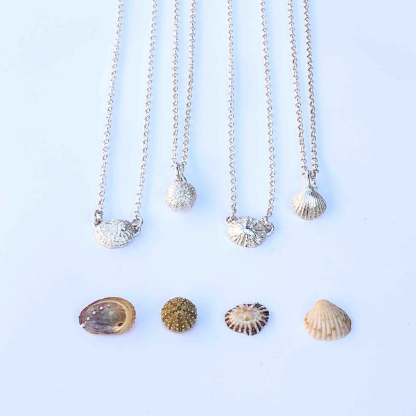 Dainty Clam Shell Necklace - kate-macindoe